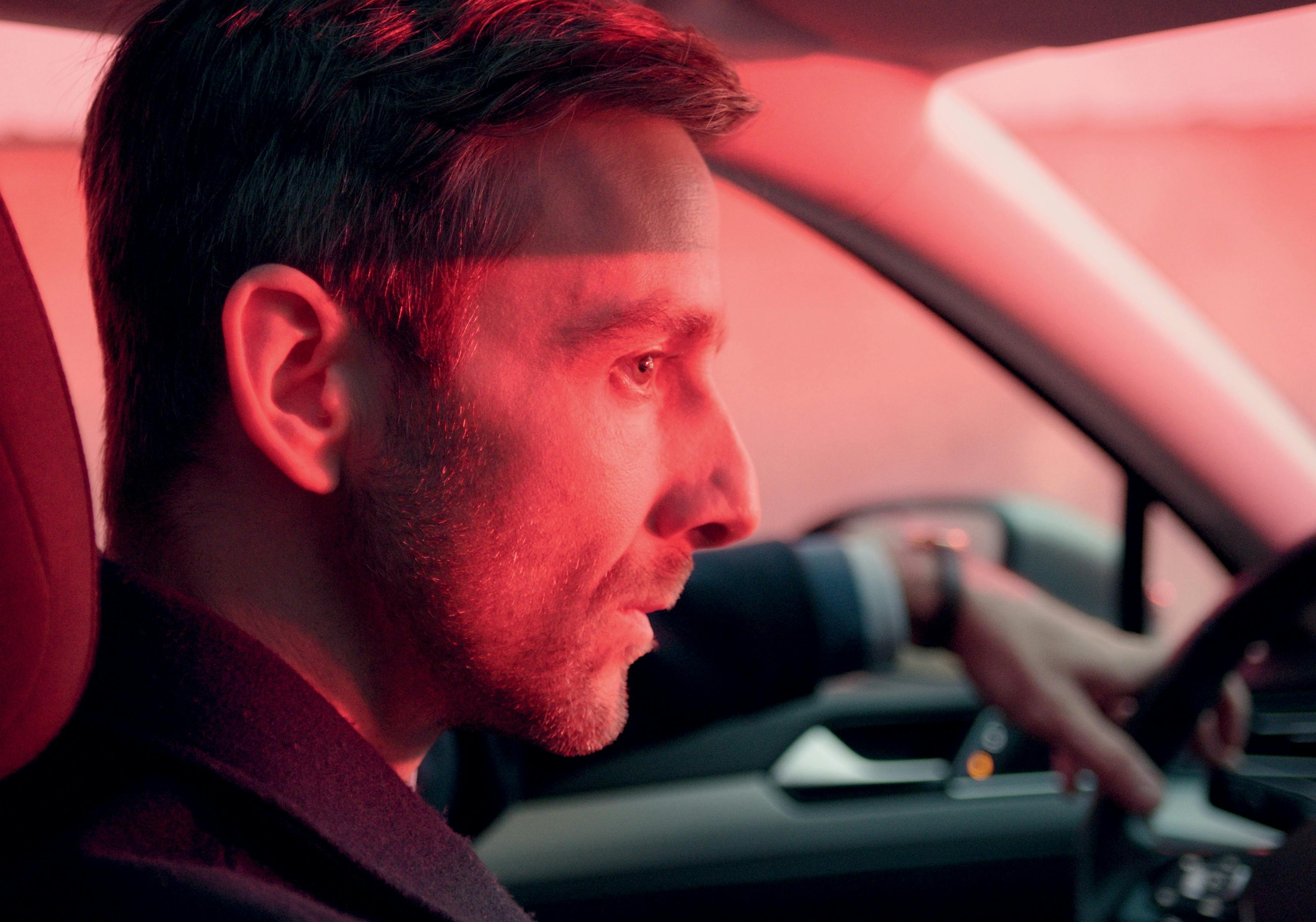 CASFFA: Calm in the Canopy - Ritz Cinemas