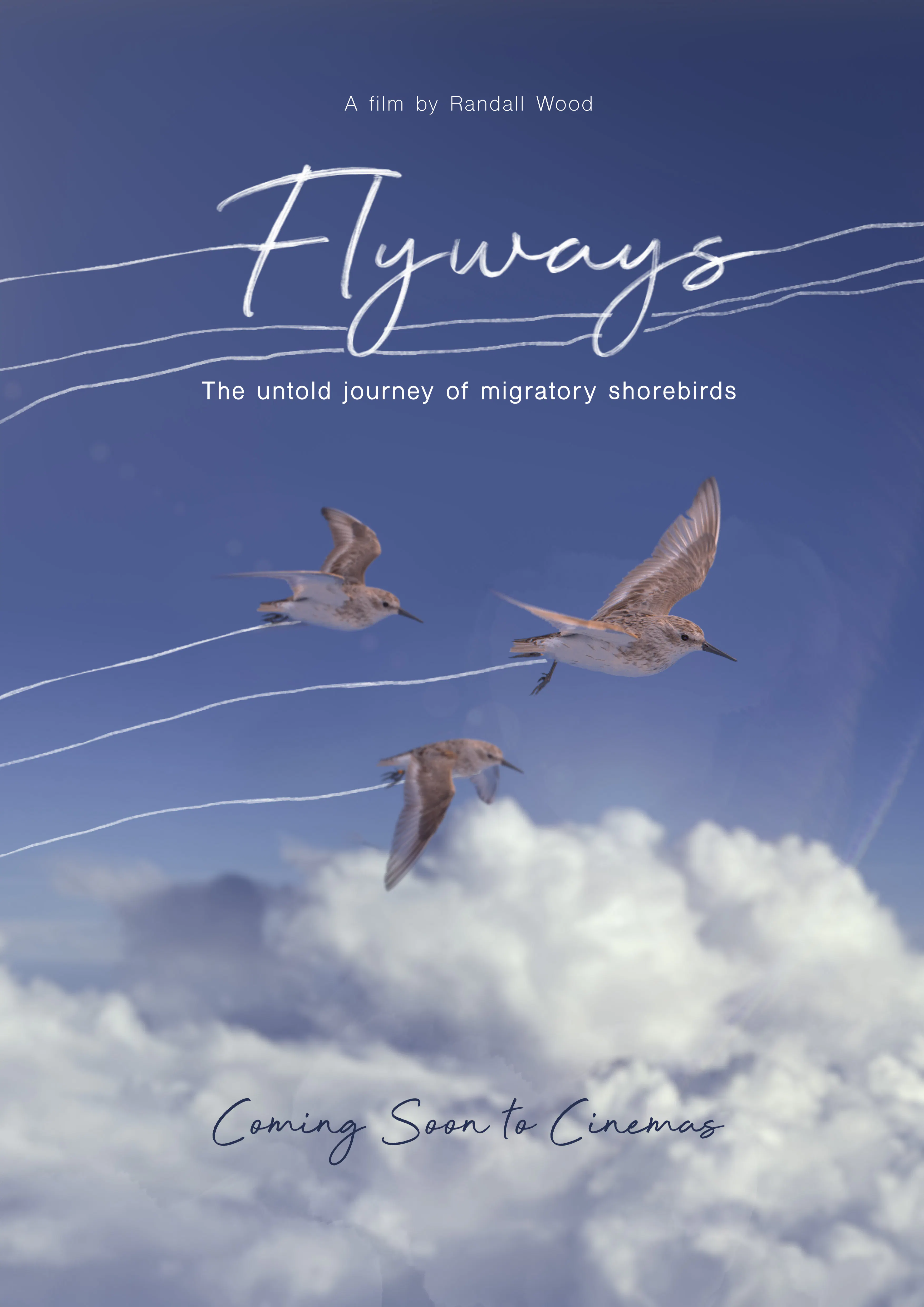 Flyways Ritz Cinemas