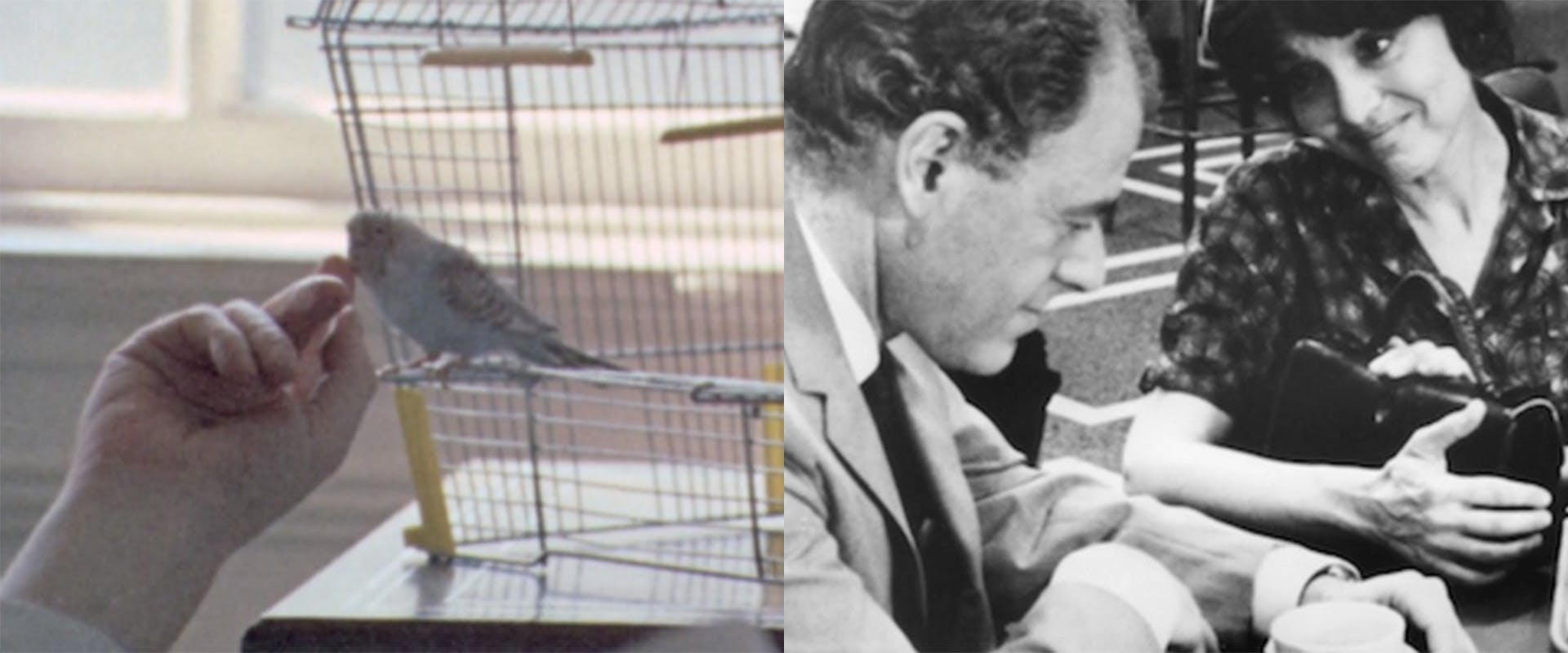 JIFF: The Cafeteria (1984) & Isaac Singer’s Nightmare and Mrs Pupko’s ...