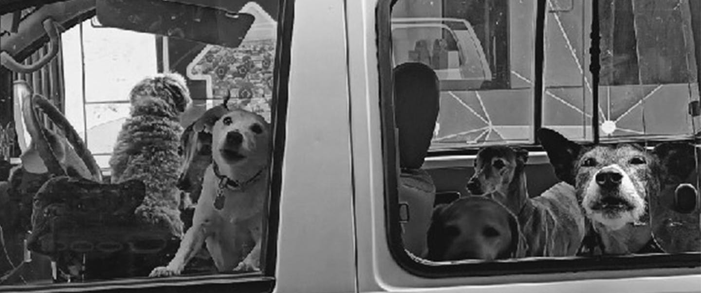 John Scurry's Reverse Swing Quartet - Ritz Cinemas