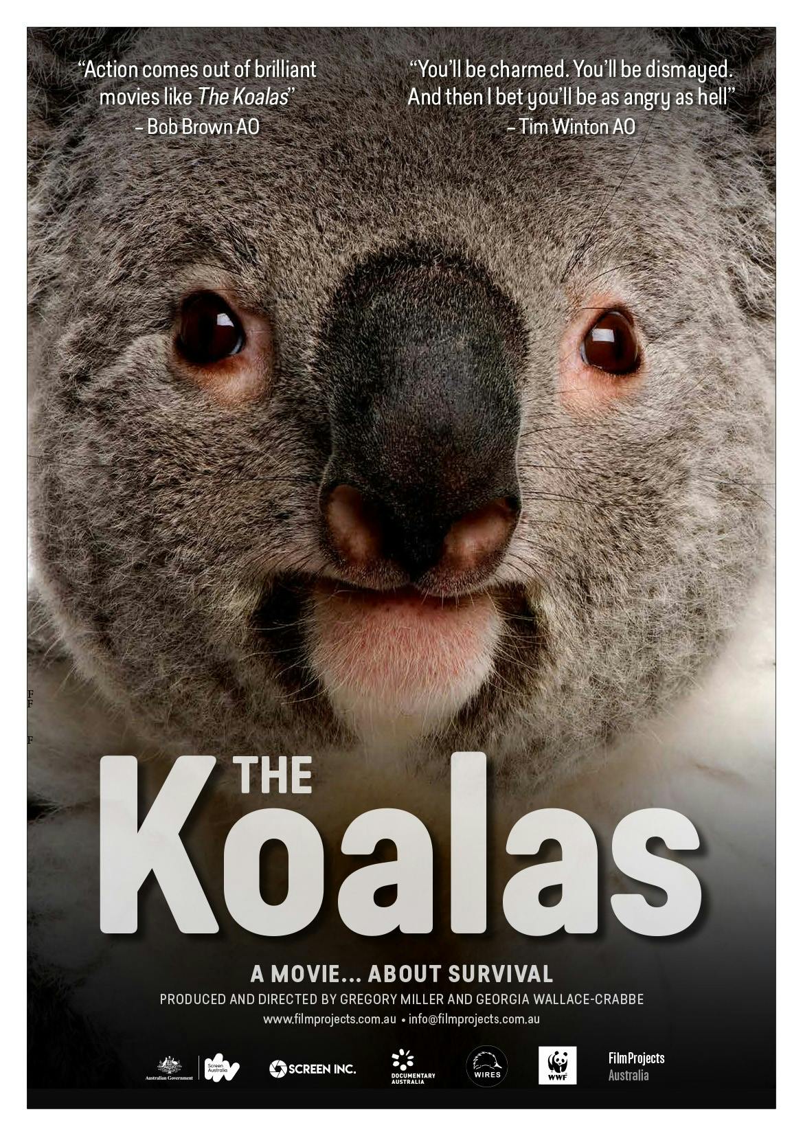 The Koalas - Cameo Cinemas