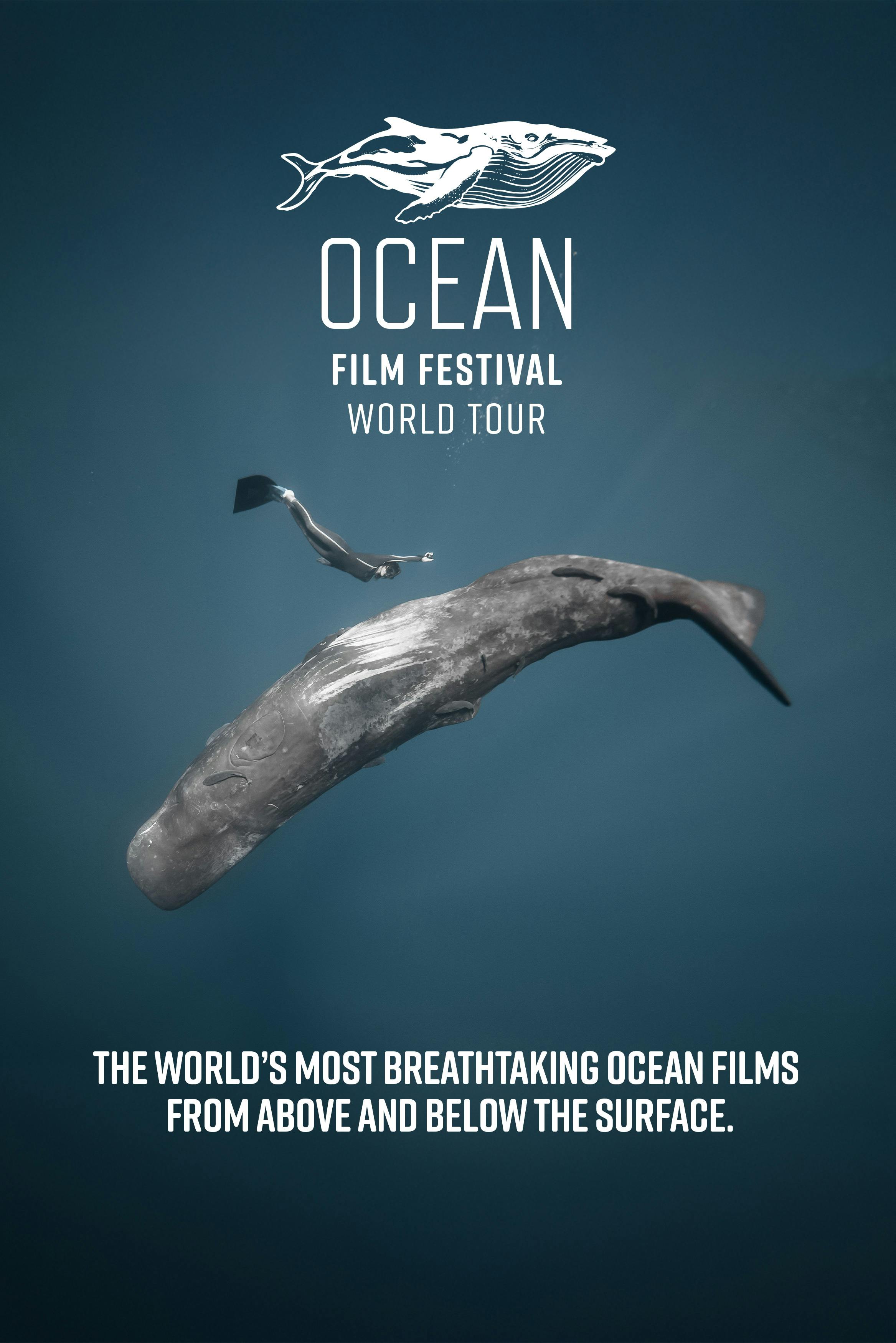 Ocean Film Festival World Tour 2025 Ritz Cinemas