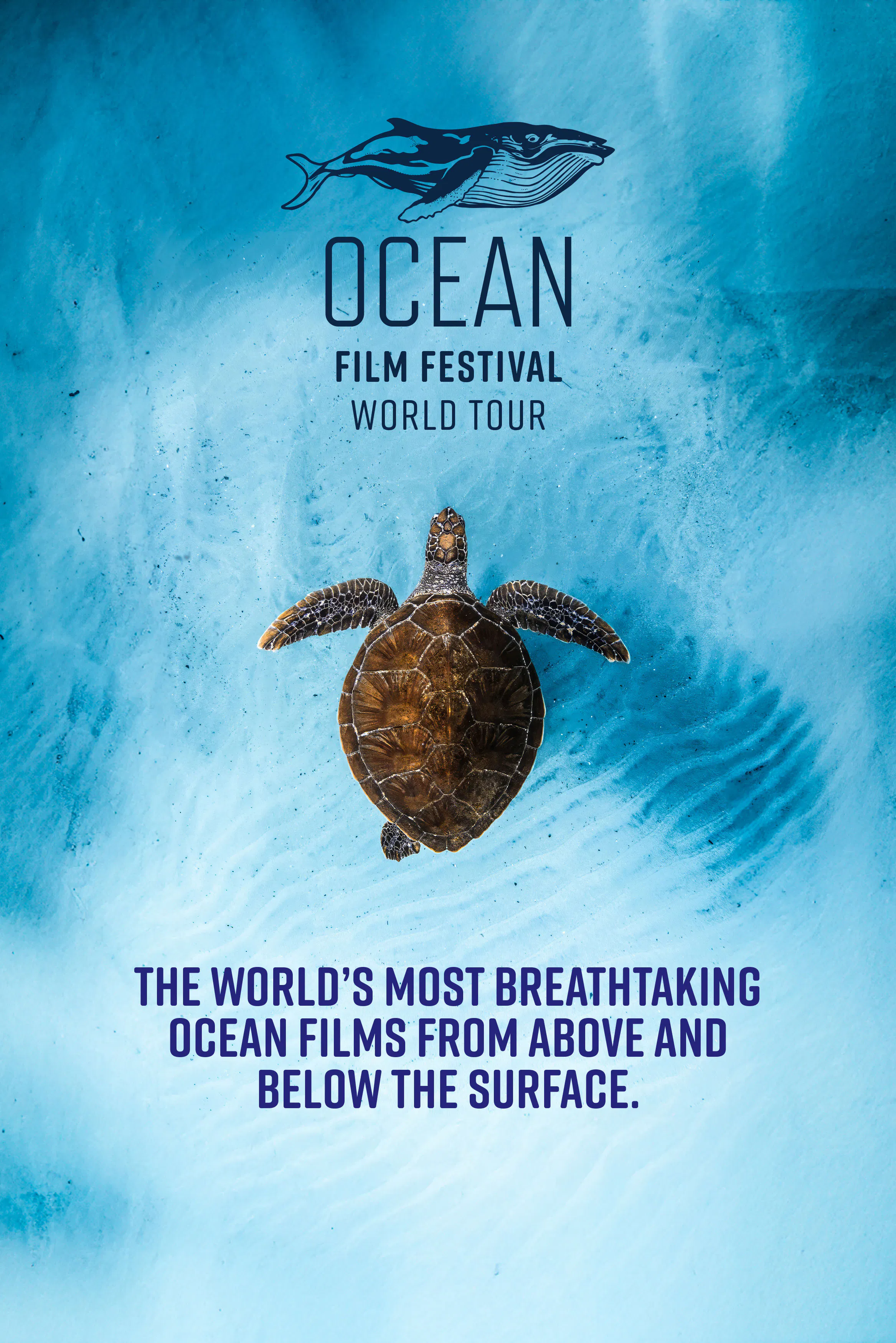 Ocean Film Festival World Tour 2026 - Ritz Cinemas
