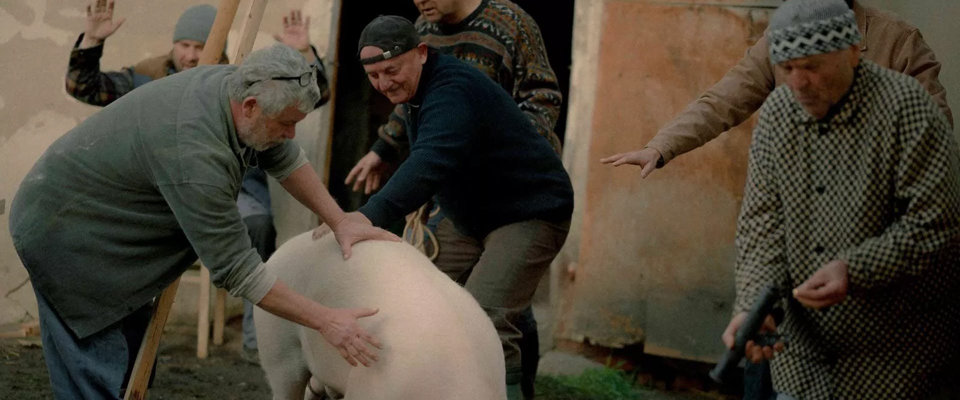 CASFFA: Our Lovely Pig Slaughter - Classic Cinemas