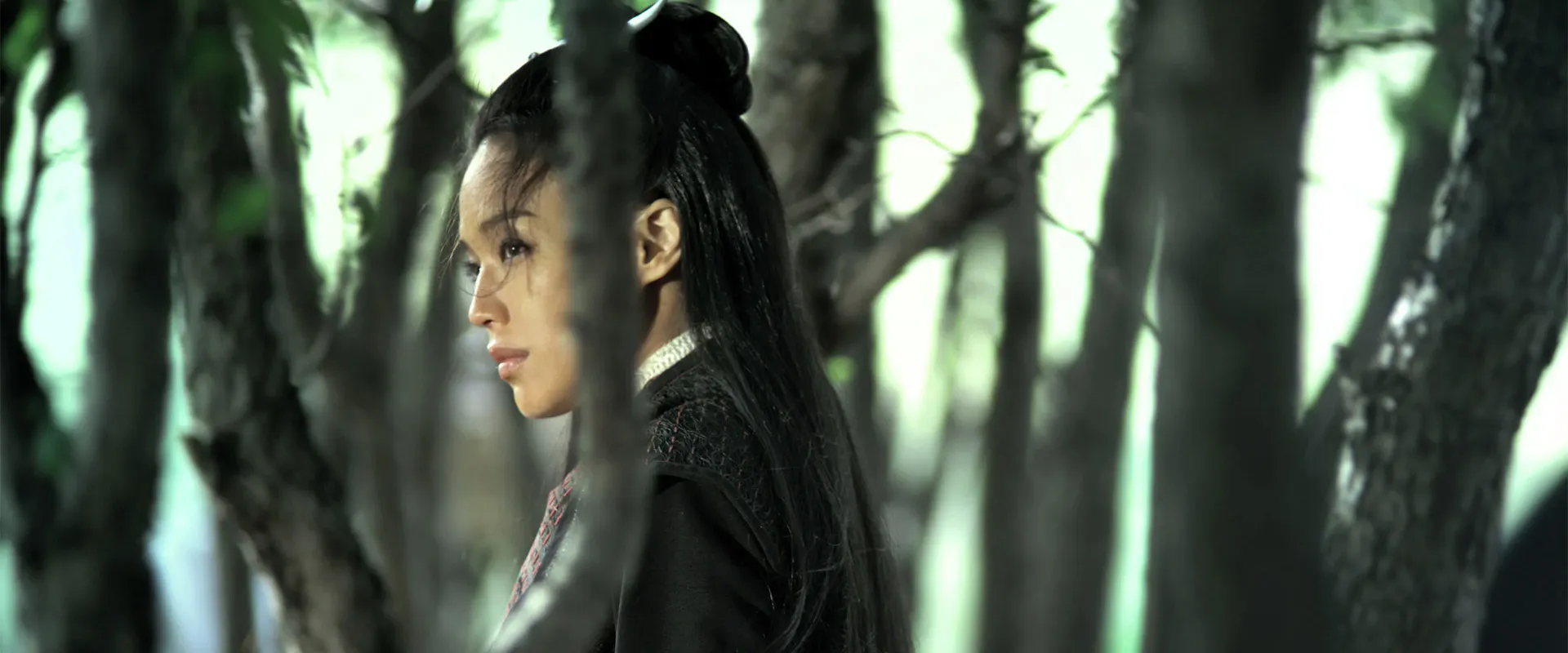 The Assassin (2015) - Ritz Cinemas