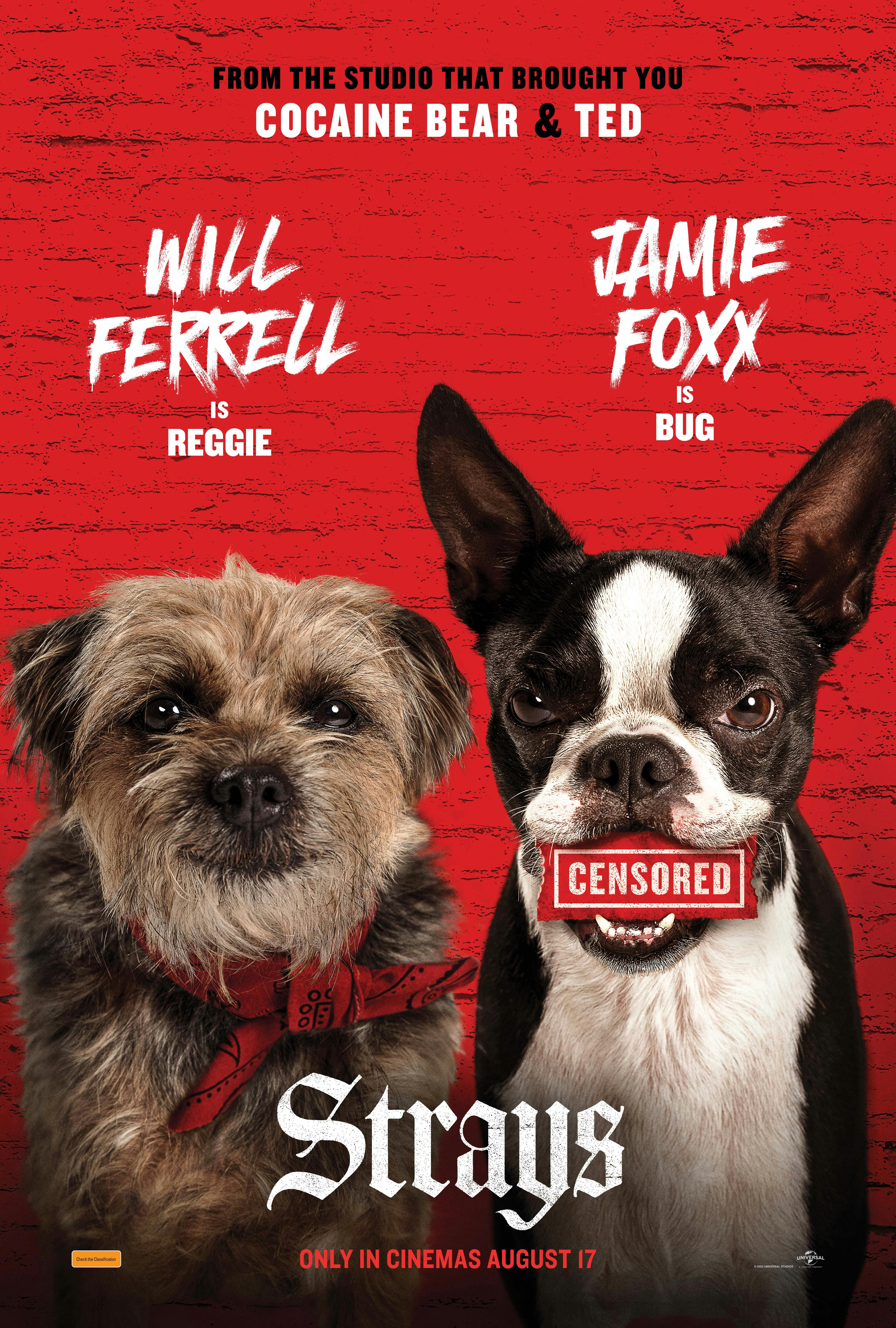 Strays - Classic Cinemas